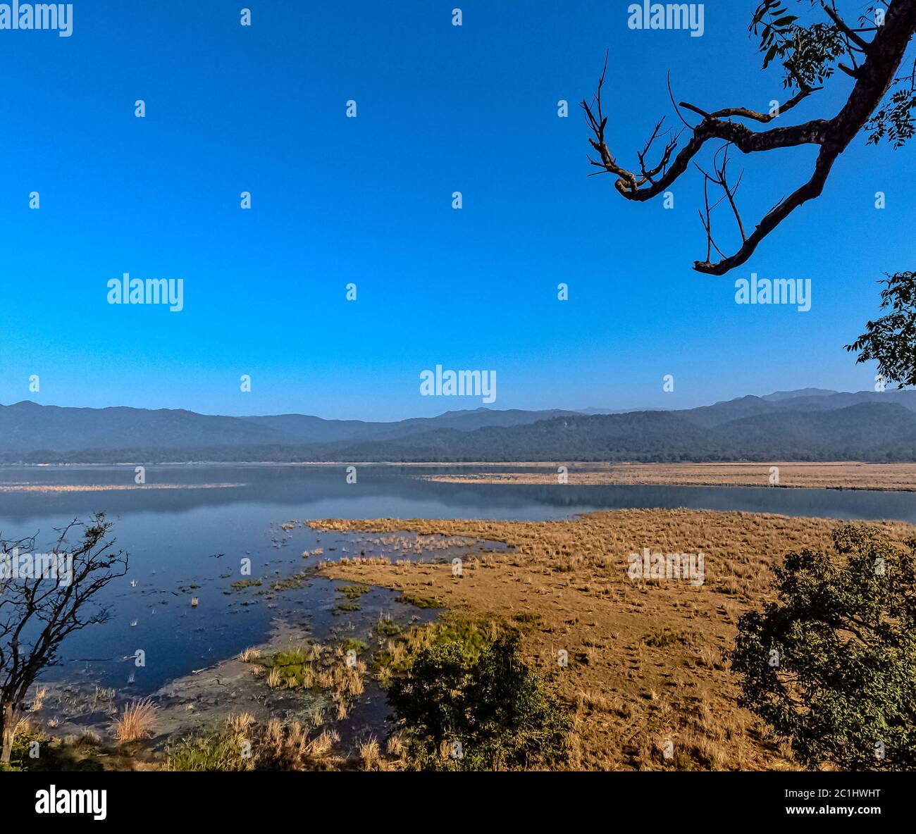 Panorama of Ramganga River in Jim Corbett National Park, India Stock ...