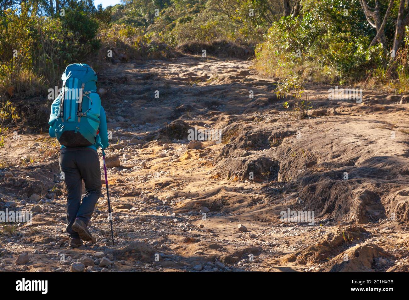 People walking with great backpacks in mountain landscape - trekking ...
