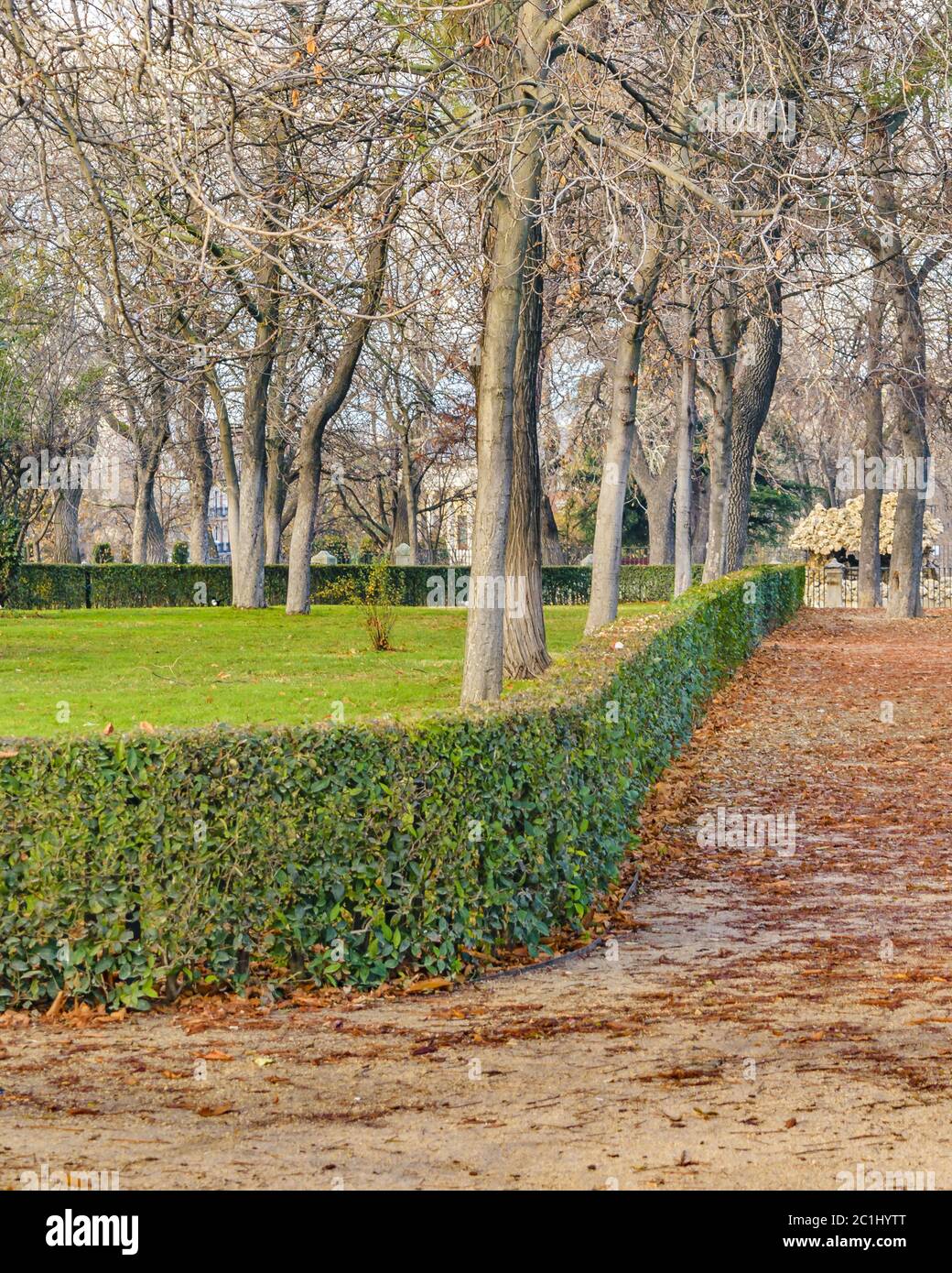 Retiro park in autumn hi-res stock photography and images - Alamy