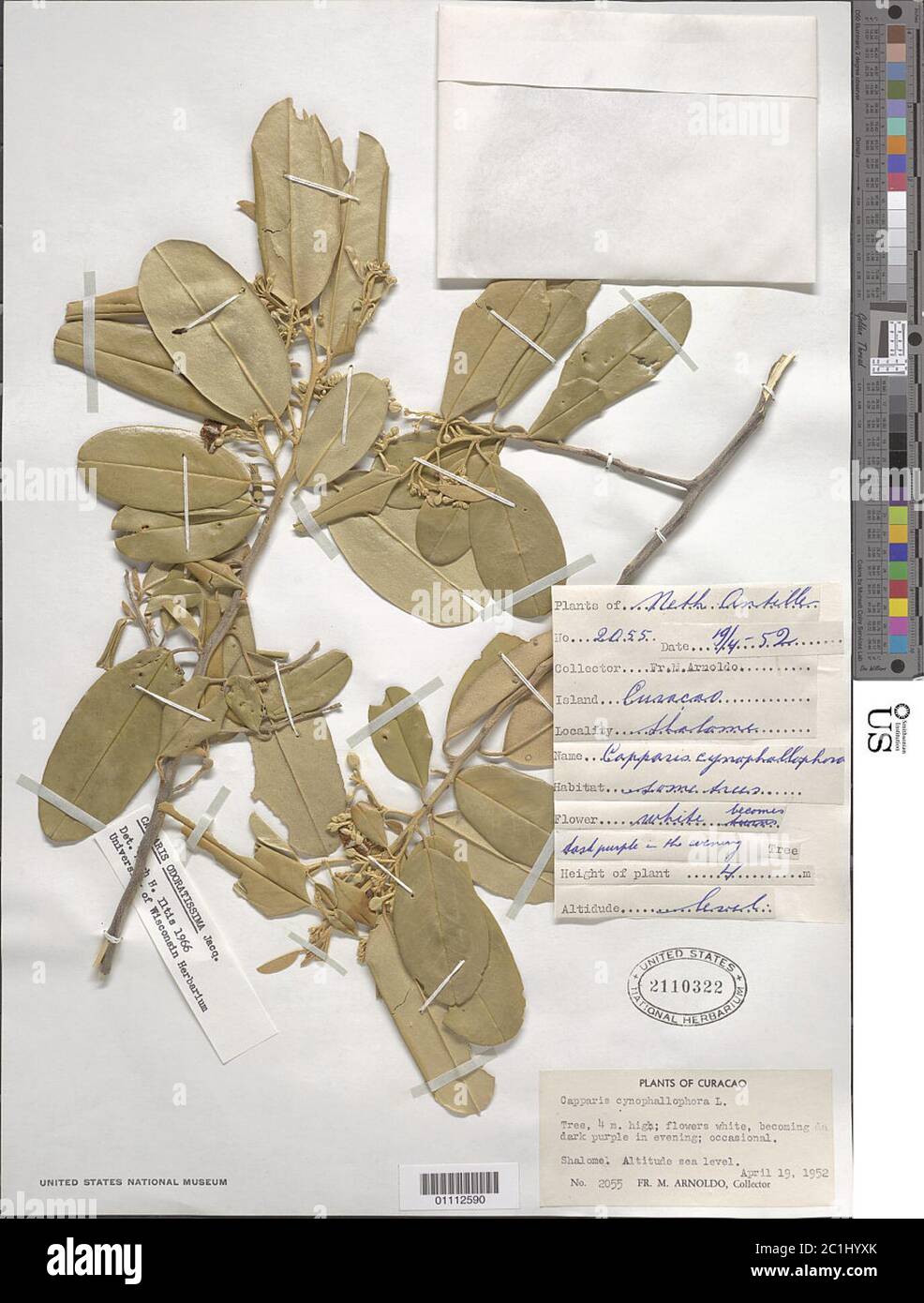 Quadrella High Resolution Stock Photography and Images - Alamy