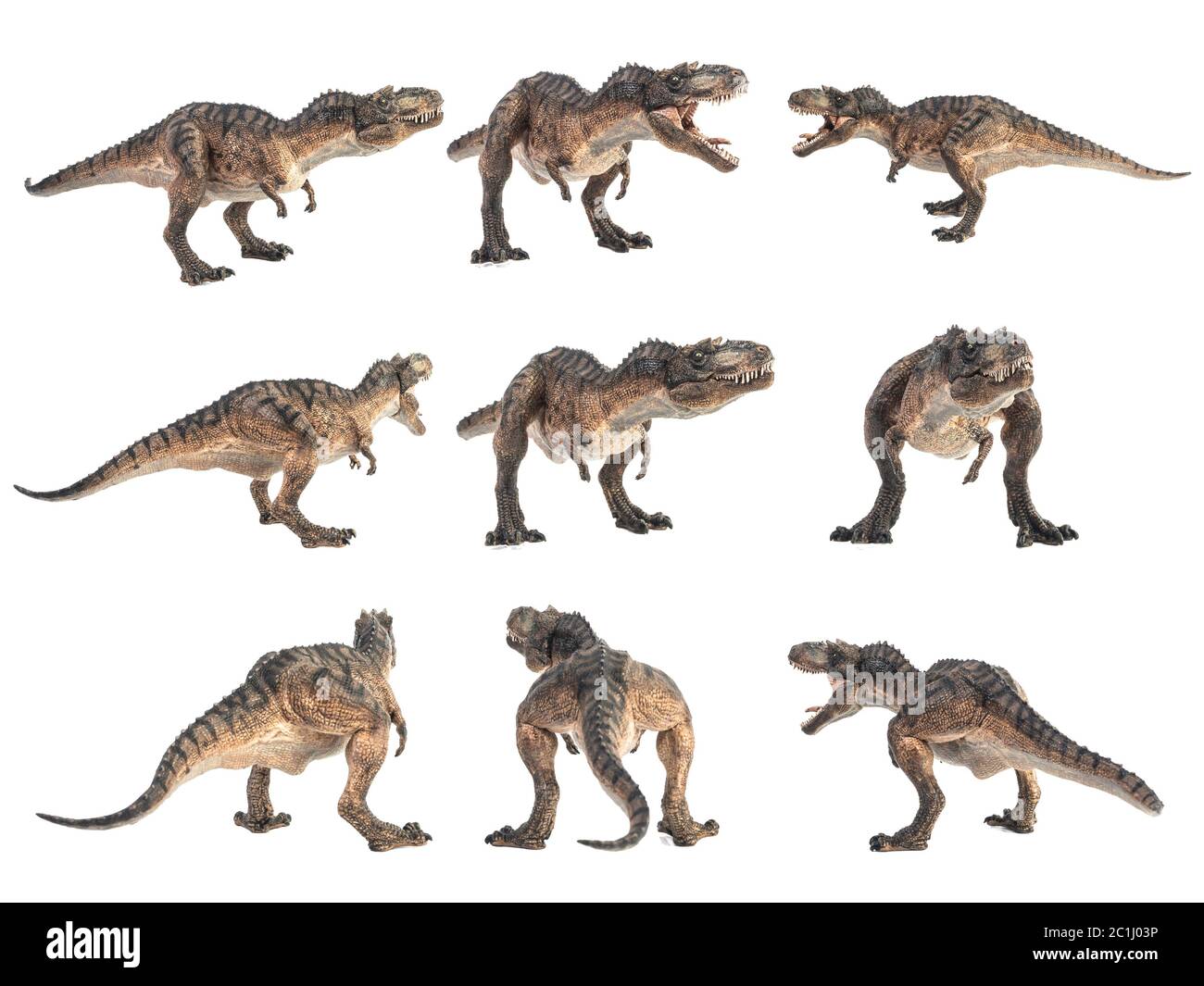 Gorgosaurus Dinosaur on white background Stock Photo - Alamy