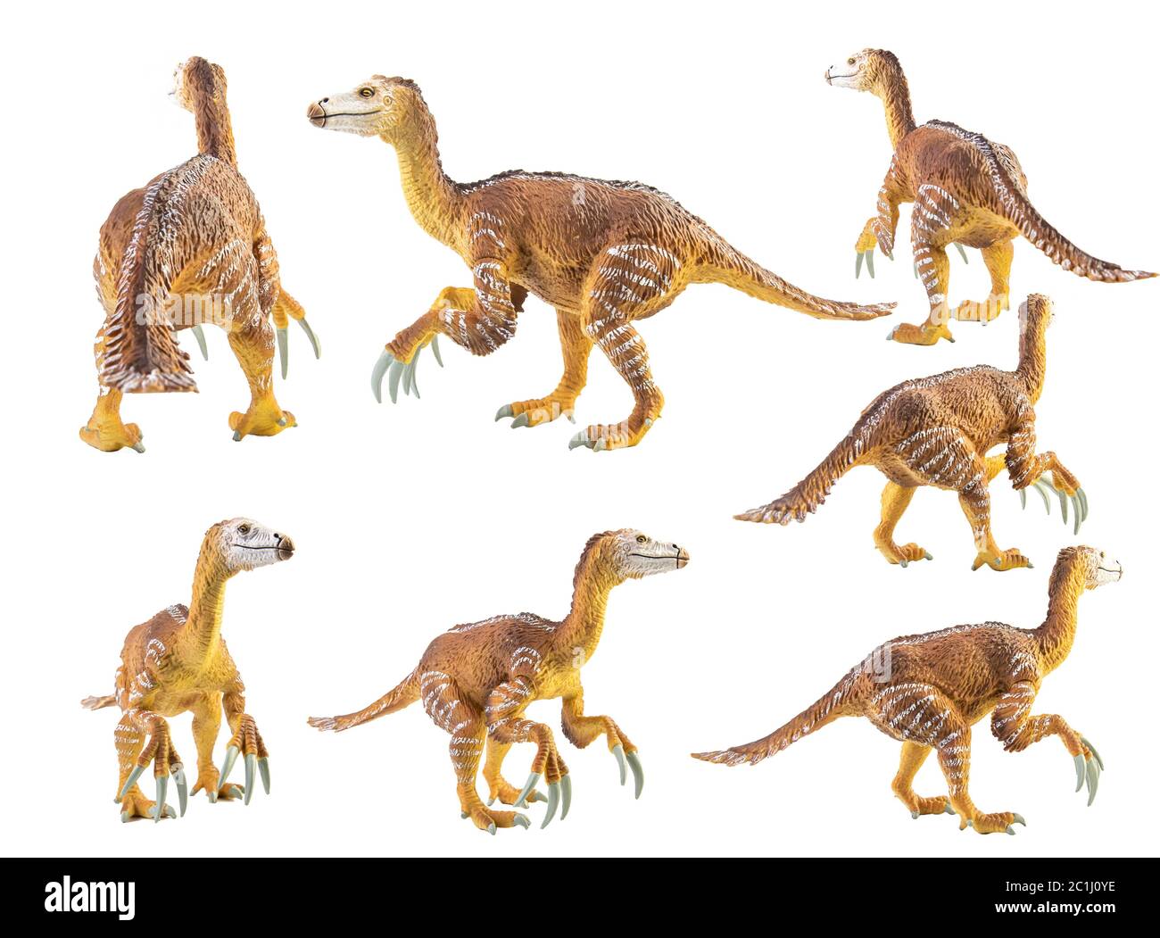 Therizinosaurus hi-res stock photography and images - Alamy