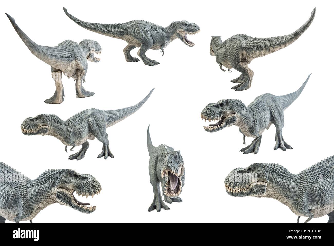Tyrannosaurus T-rex ,dinosaur on white background Stock Photo - Alamy