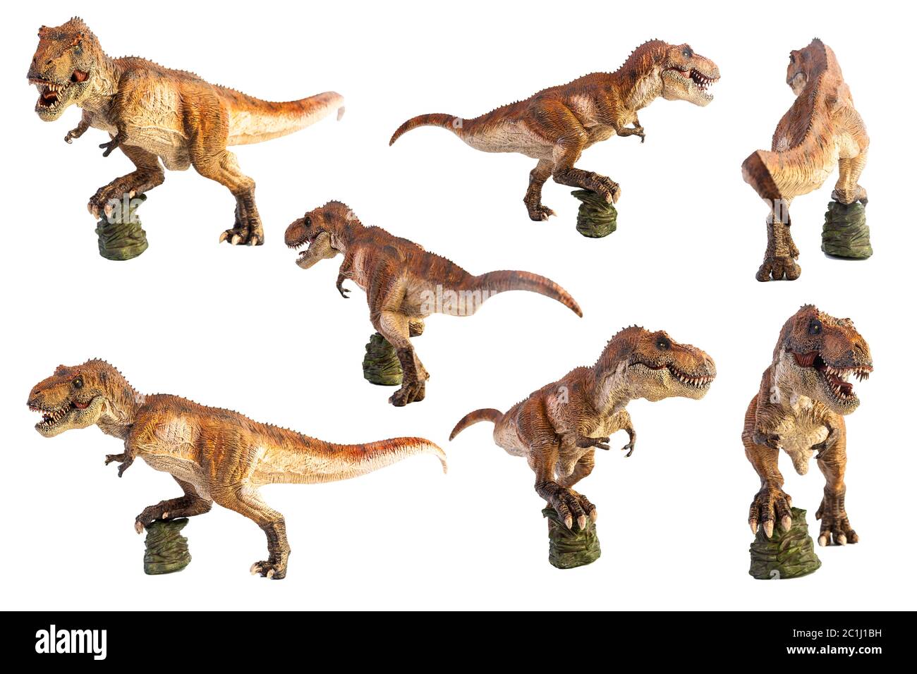 Tyrannosaurus T-rex ,dinosaur on white background Stock Photo - Alamy