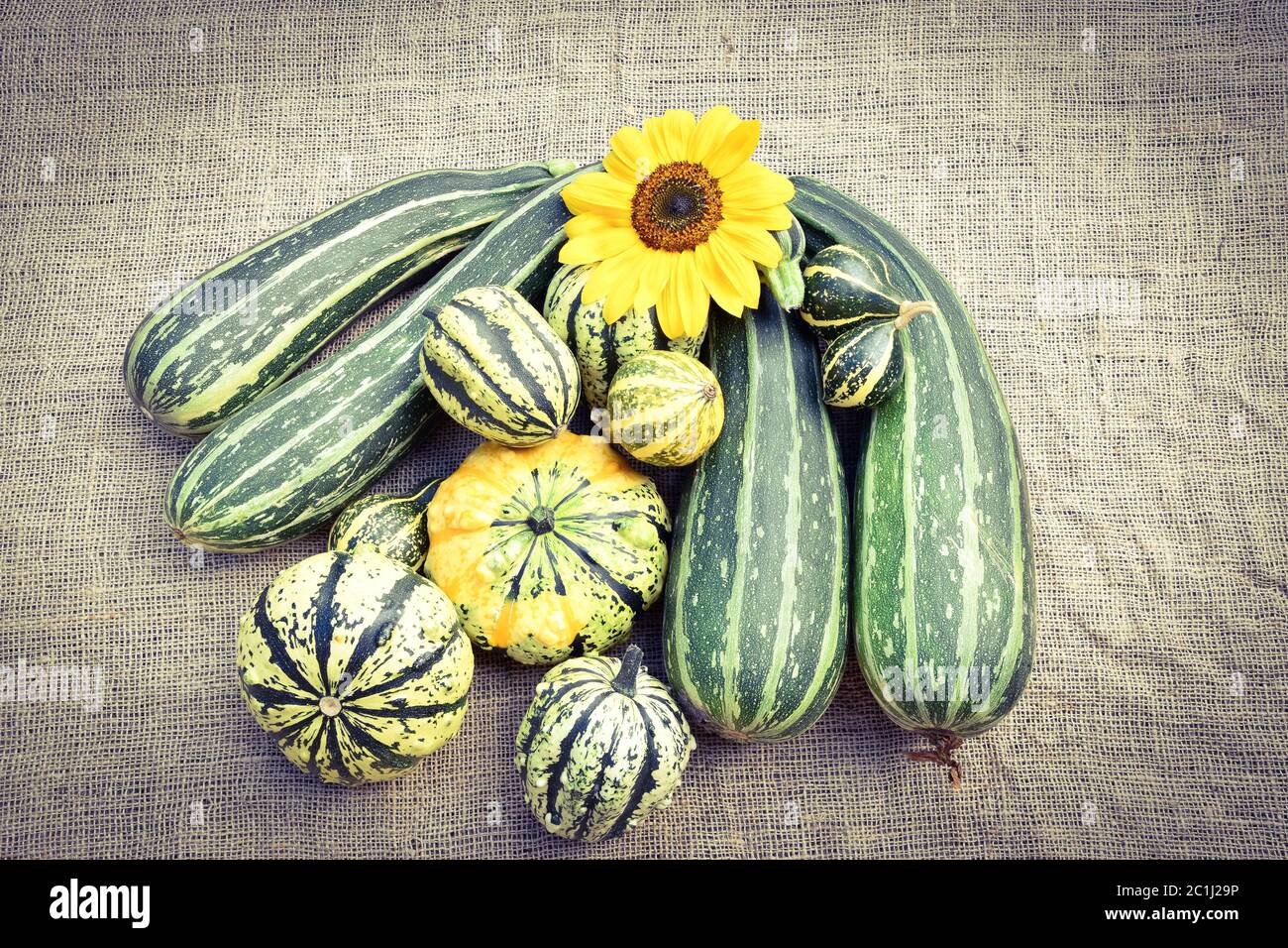 Zucchini different varieties and sizes Stock Photo - Alamy