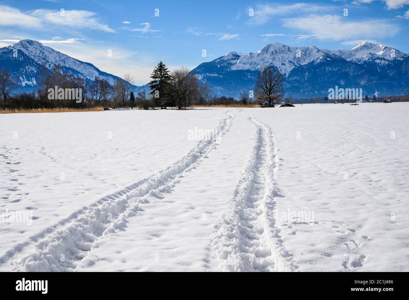 Tractor tracks in the snow Stock Photo - Alamy