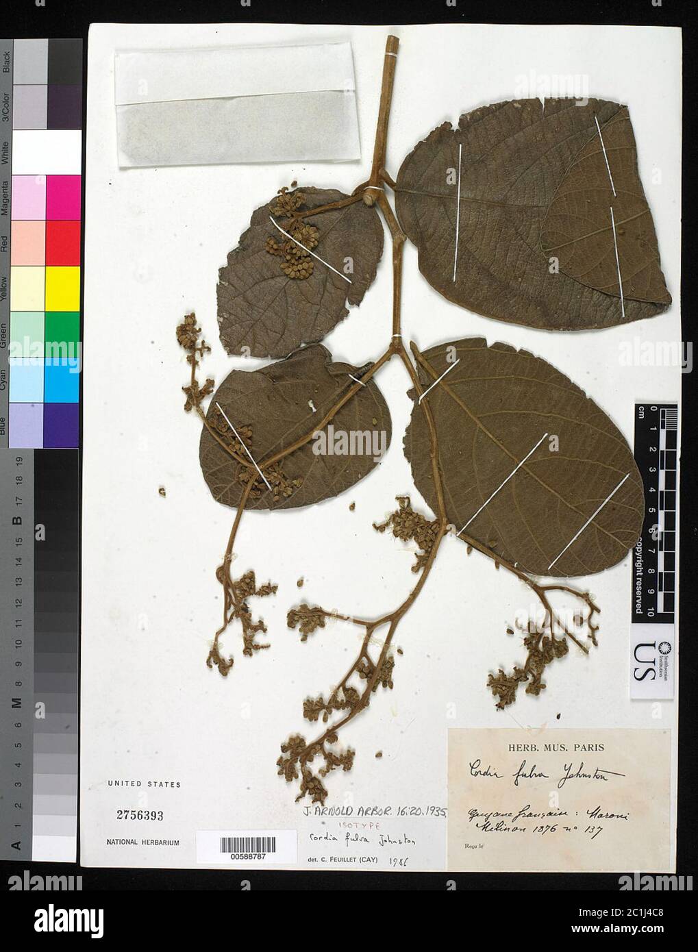 Johnst hi-res stock photography and images - Alamy