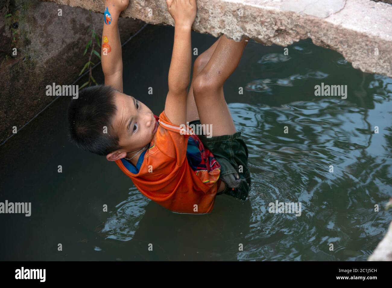 Tai Daeng High Resolution Stock Photography and Images - Alamy