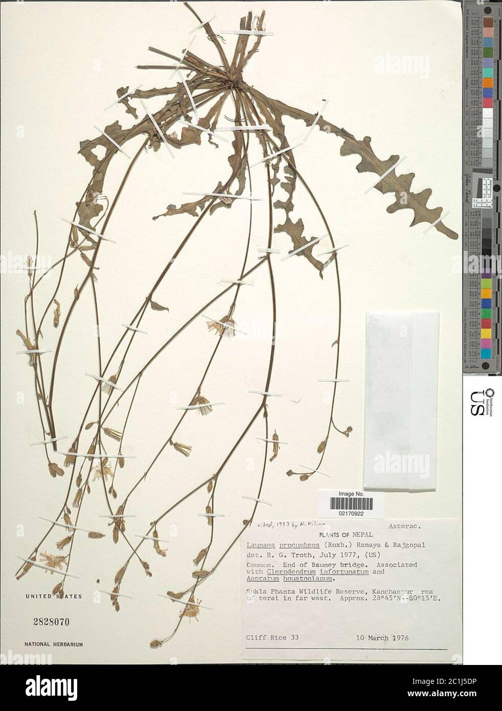 Rajagopal hi-res stock photography and images - Alamy