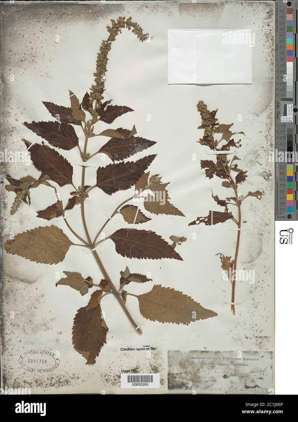 Inflatum hi-res stock photography and images - Alamy