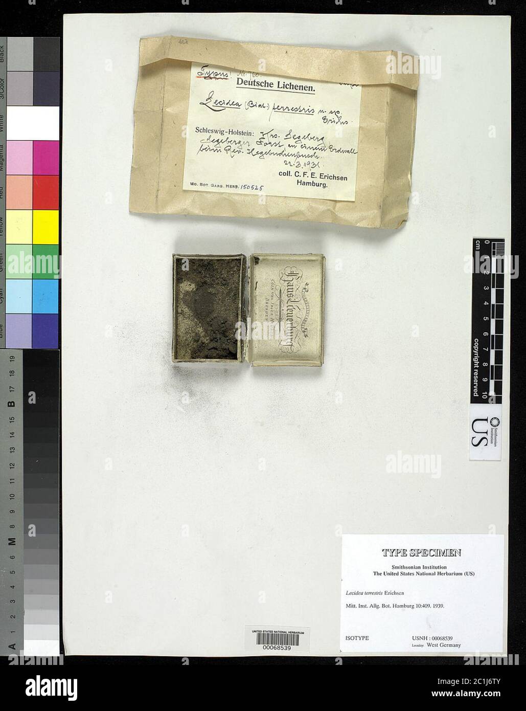 Lecidea species hi-res stock photography and images - Alamy