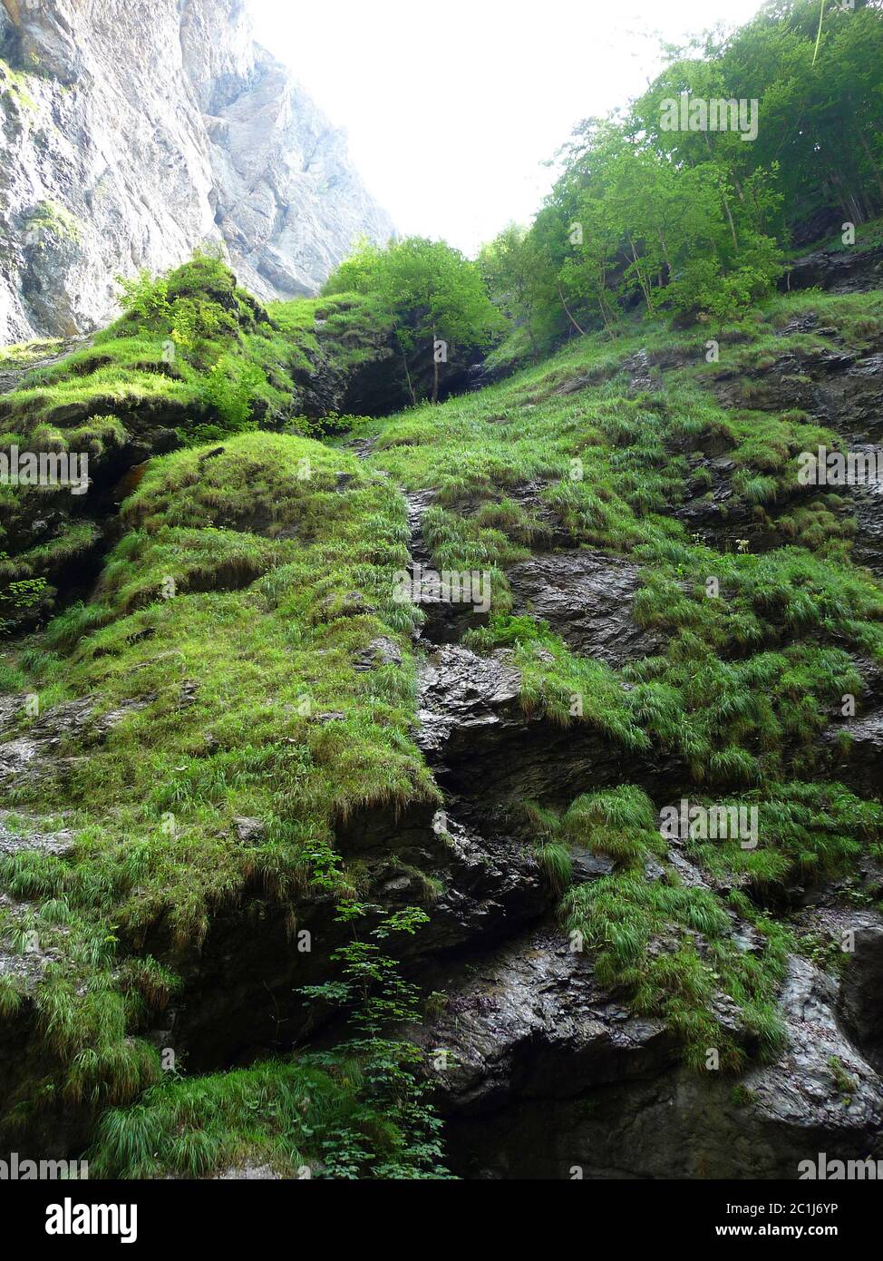Lichtensteinklamm gorge hi-res stock photography and images - Alamy