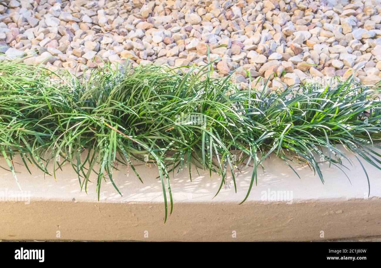 Aesthetic garden edge design detail with grass and stone gravel close ...