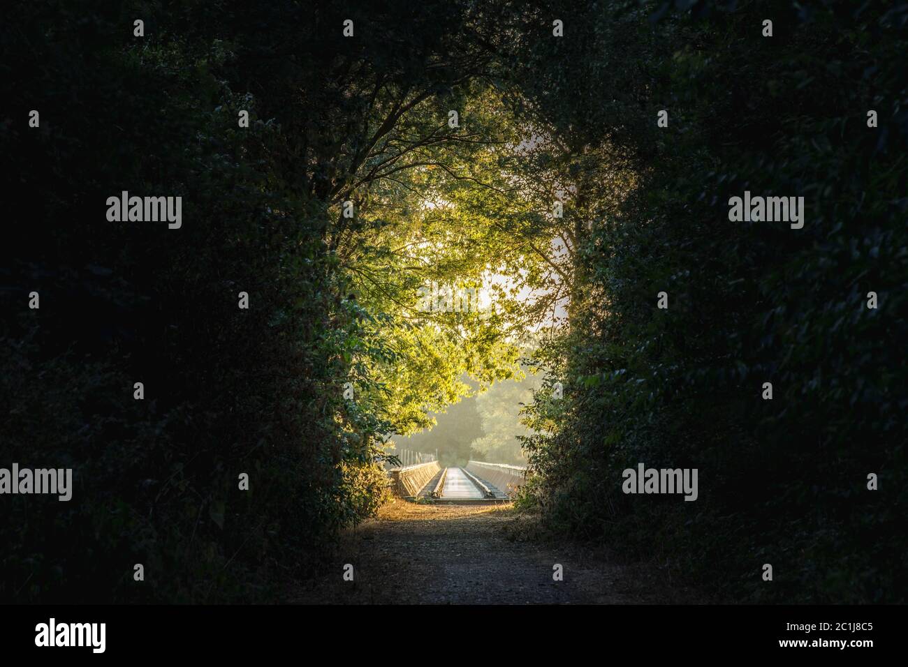 path through a dark forest with a light at the end of the forest Stock ...