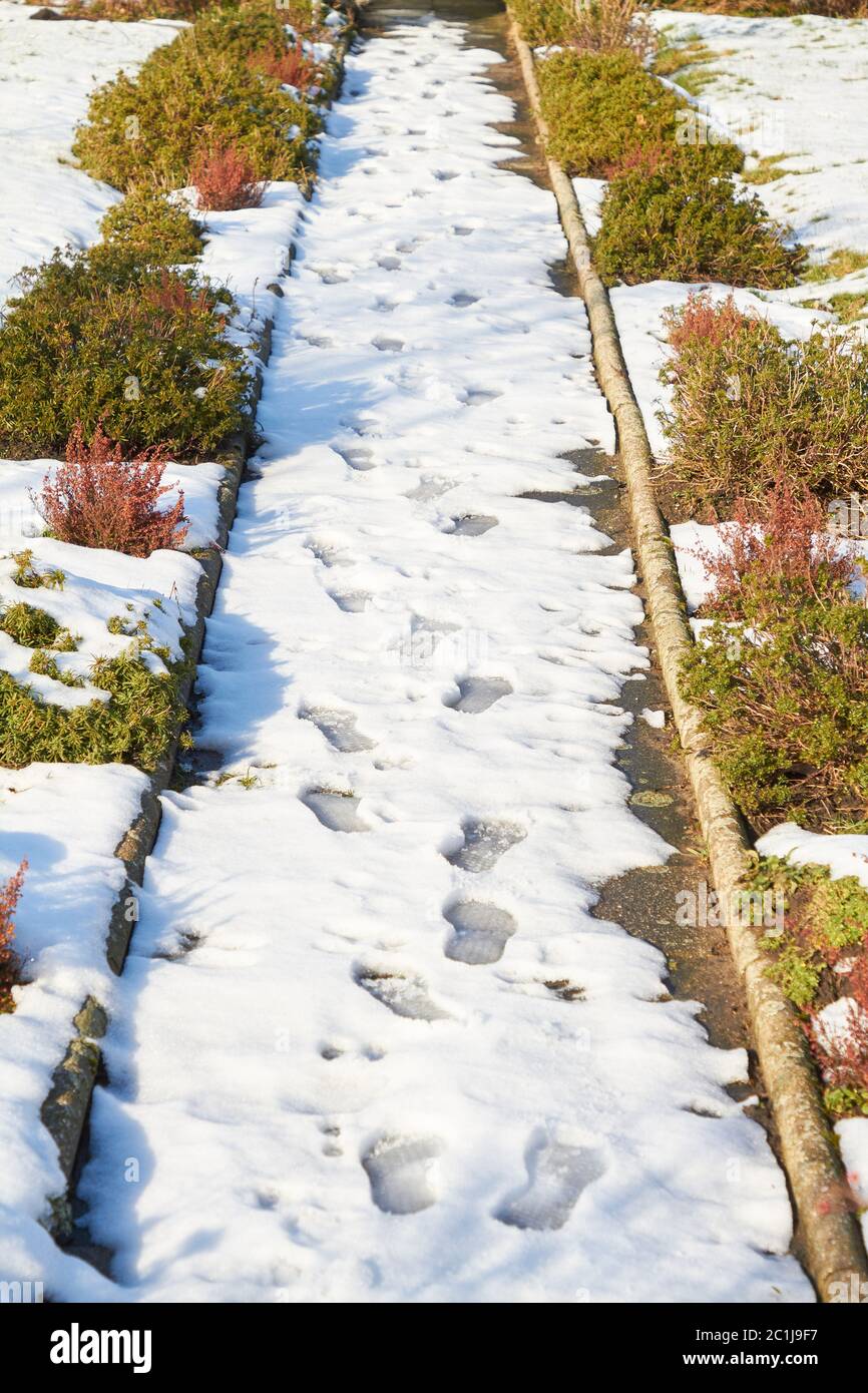 path in winter Stock Photo - Alamy
