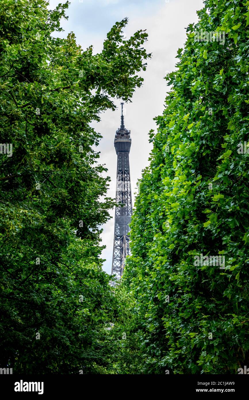 Paris, France - June 10, 2020: Green trees with Eiffel Tower in ...
