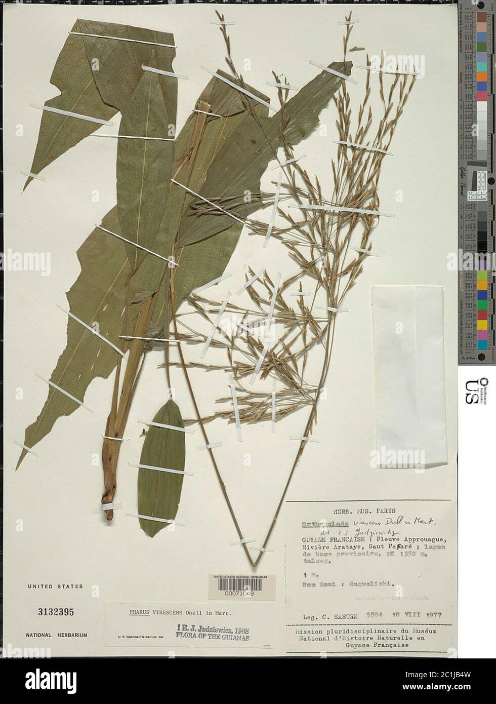 Pharus High Resolution Stock Photography and Images - Alamy