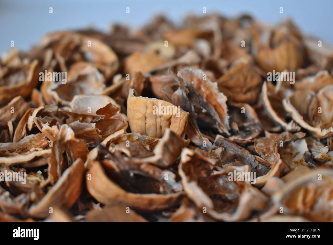 Crunch shells hi-res stock photography and images - Alamy