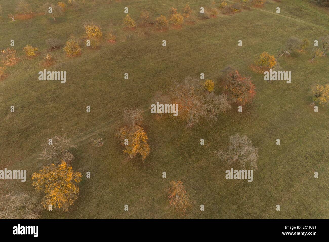 Aerial view autumn village in hi-res stock photography and images - Alamy