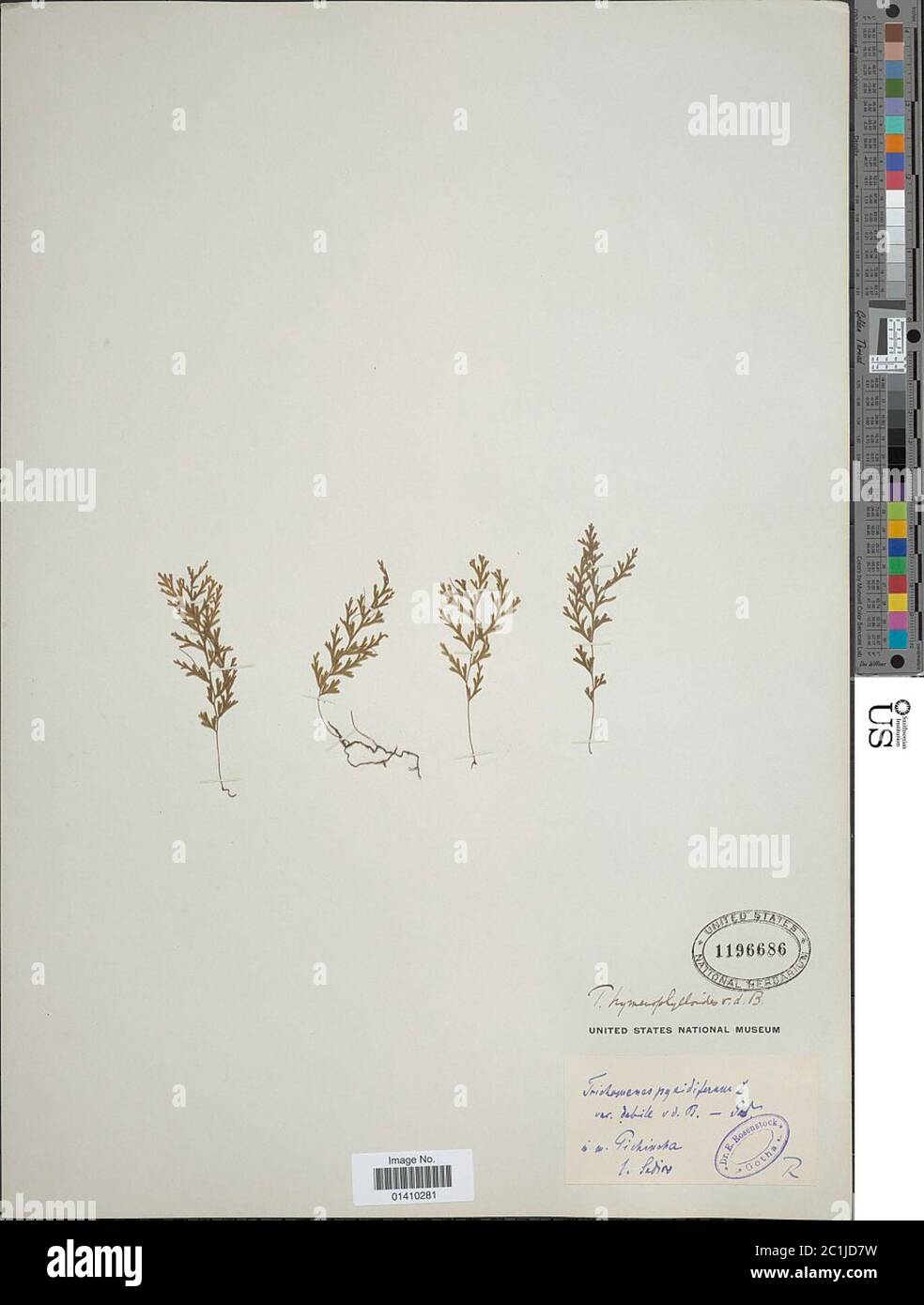 Ebihara hi-res stock photography and images - Alamy