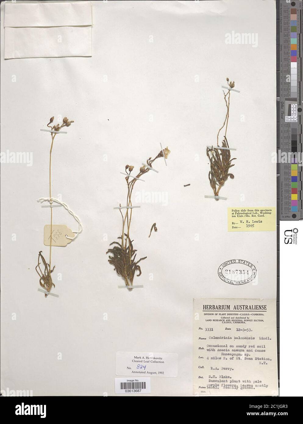 Balonensis hi-res stock photography and images - Alamy