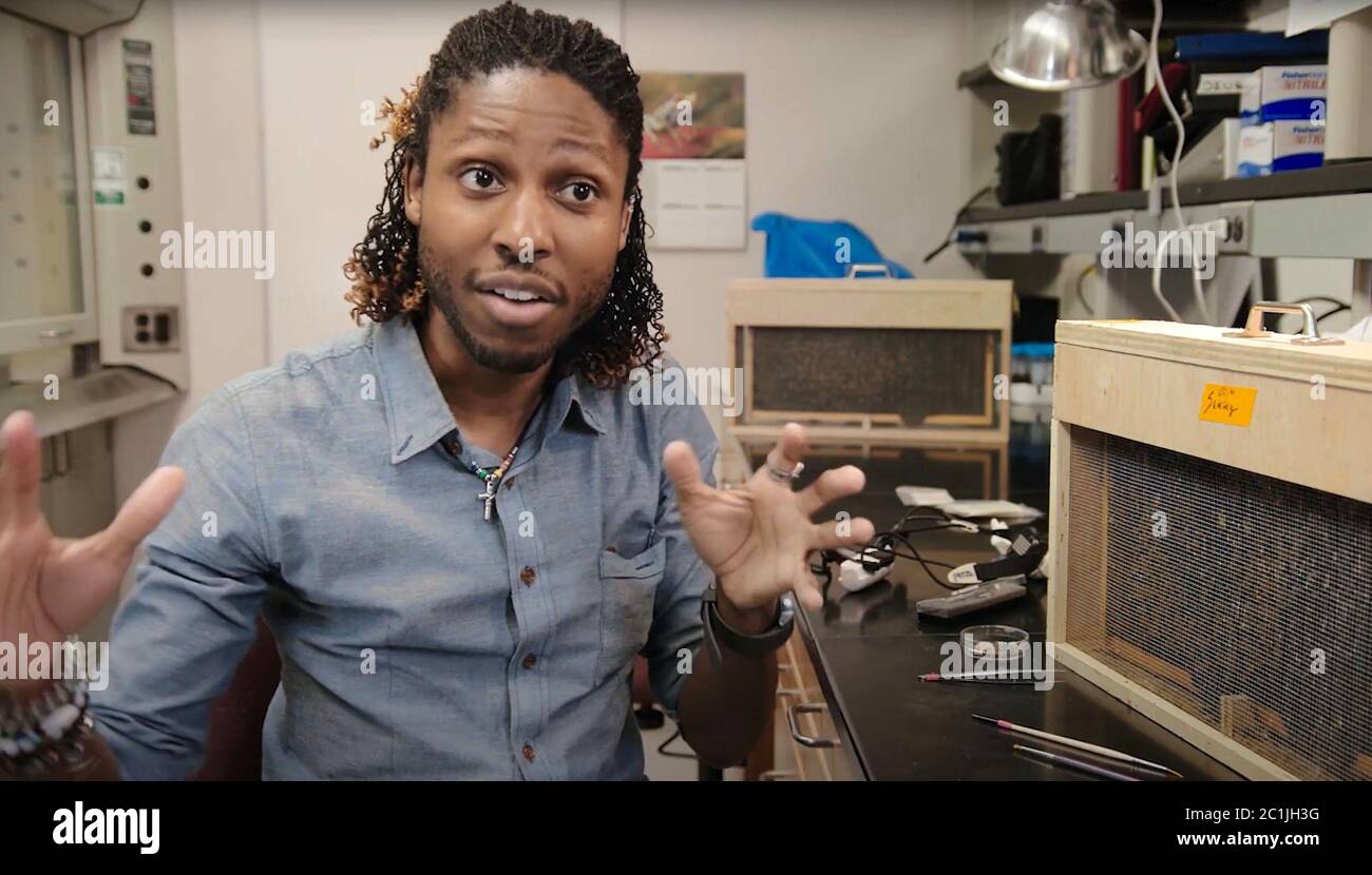 THE POLLINATORS, entomologist Sam Ramsey, 2019. © 1091 Media / Courtesy ...