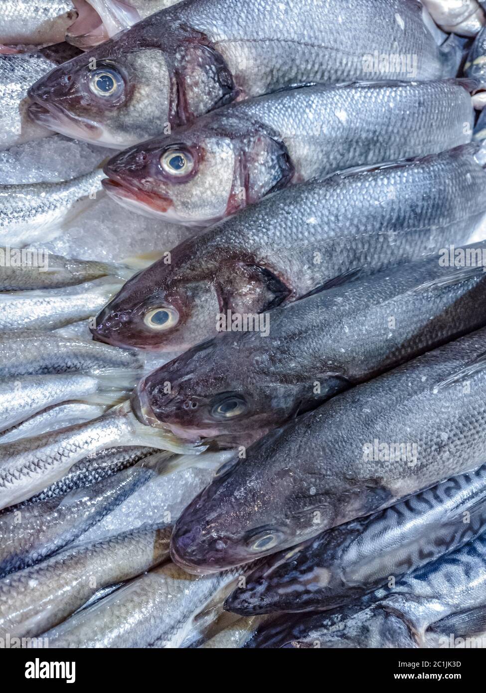 Variety of sea fishes on the counter in a greek fish shop Stock Photo ...