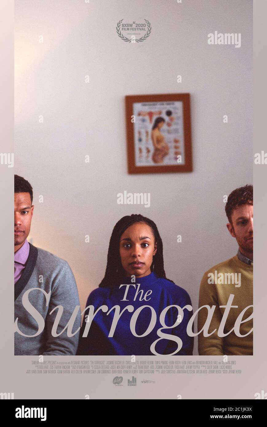 THE SURROGATE, poster, from left: Sullivan Jones, Chris Perfetti ...