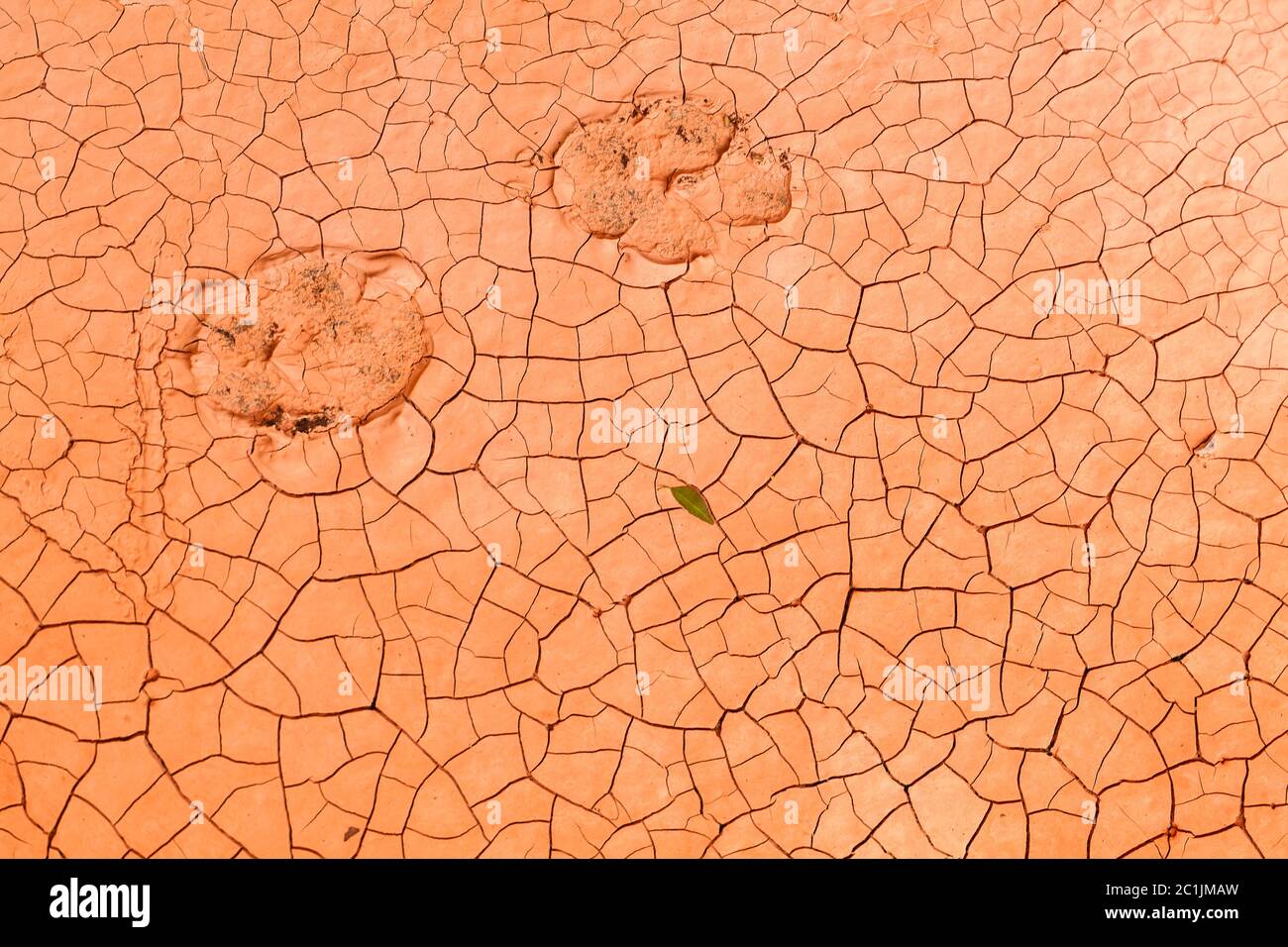 Orange drought soil pattern with cat steps - no water Stock Photo - Alamy