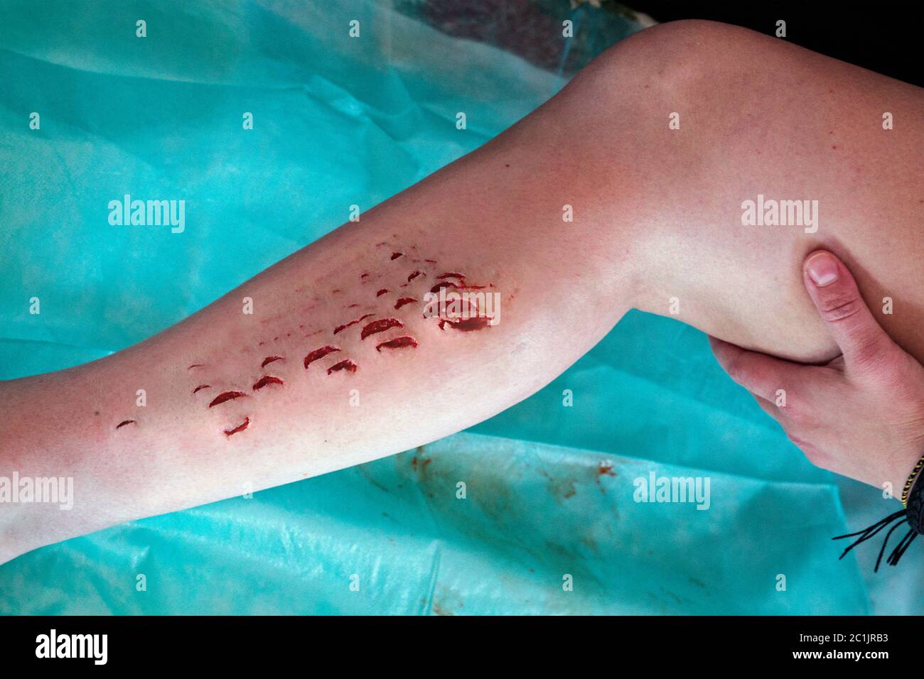 Shark Attack Danger High Resolution Stock Photography and Images - Alamy