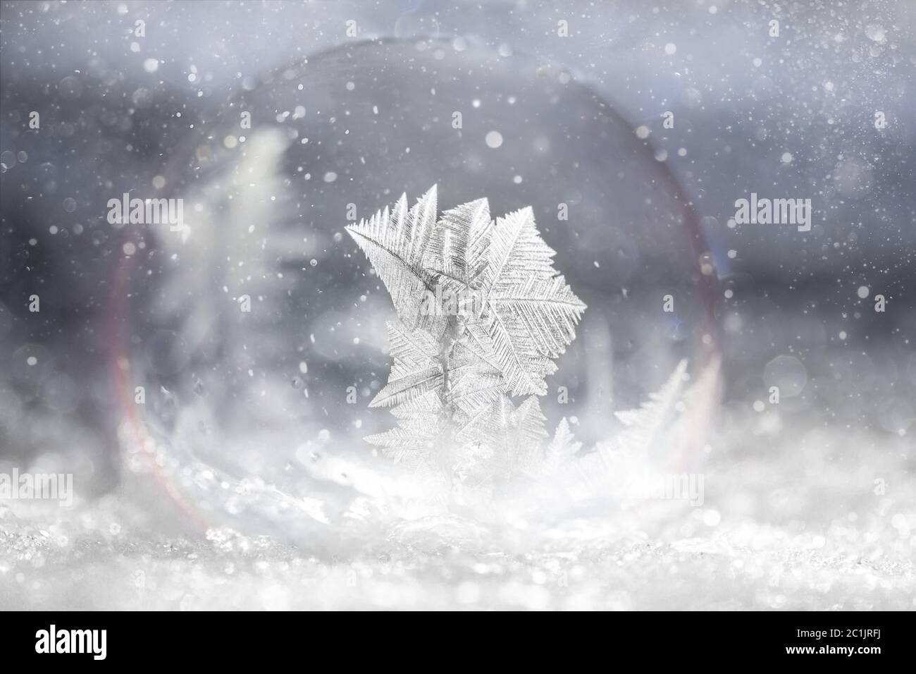frozen soap bubble in the snow Stock Photo - Alamy