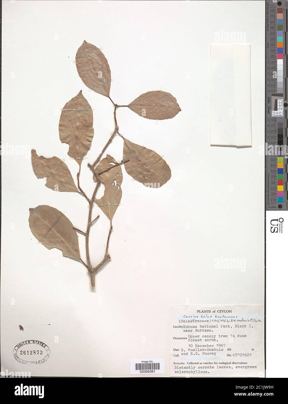 Kosterm High Resolution Stock Photography and Images - Alamy