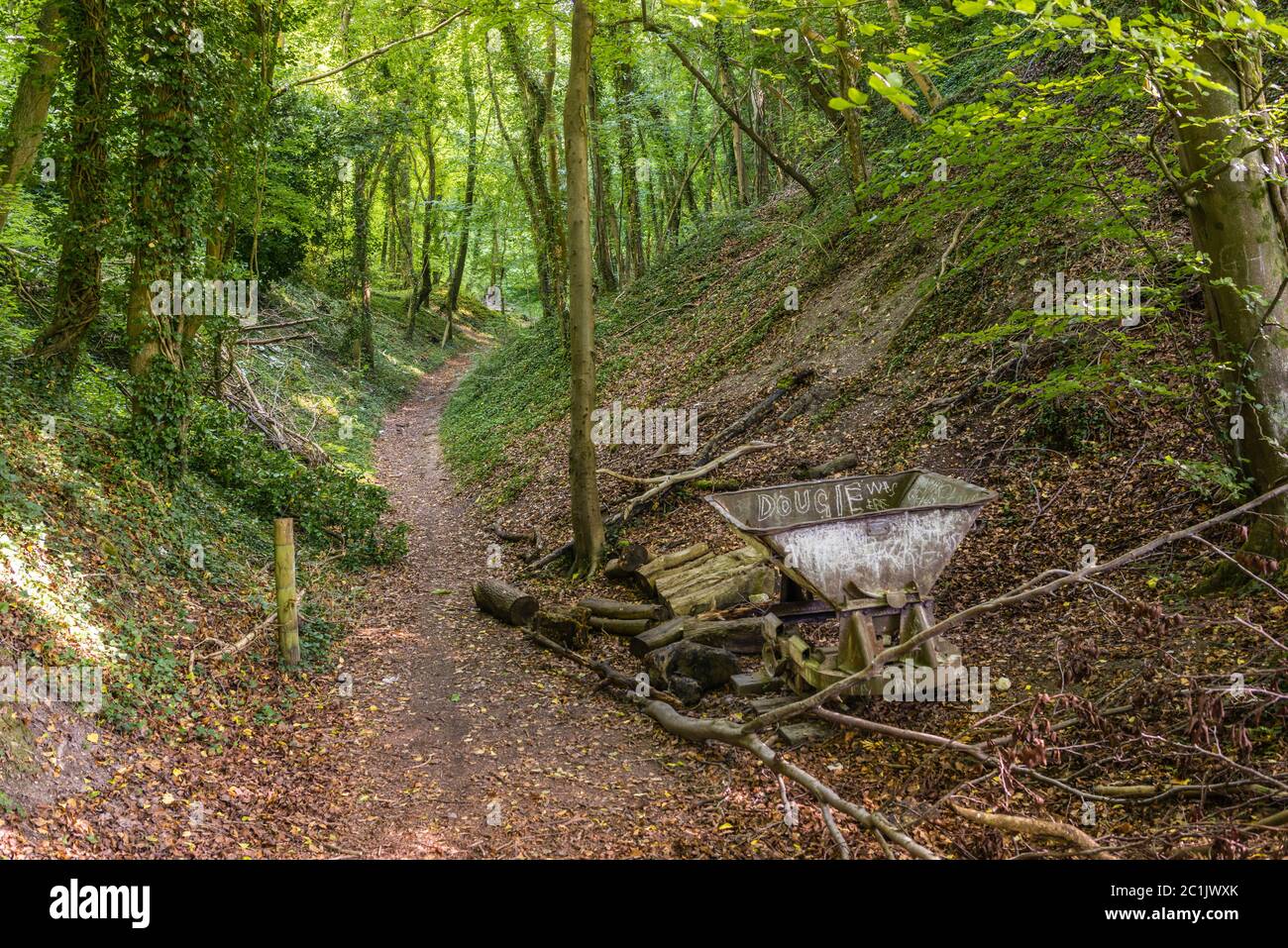 Buriton chalk pits hi-res stock photography and images - Alamy