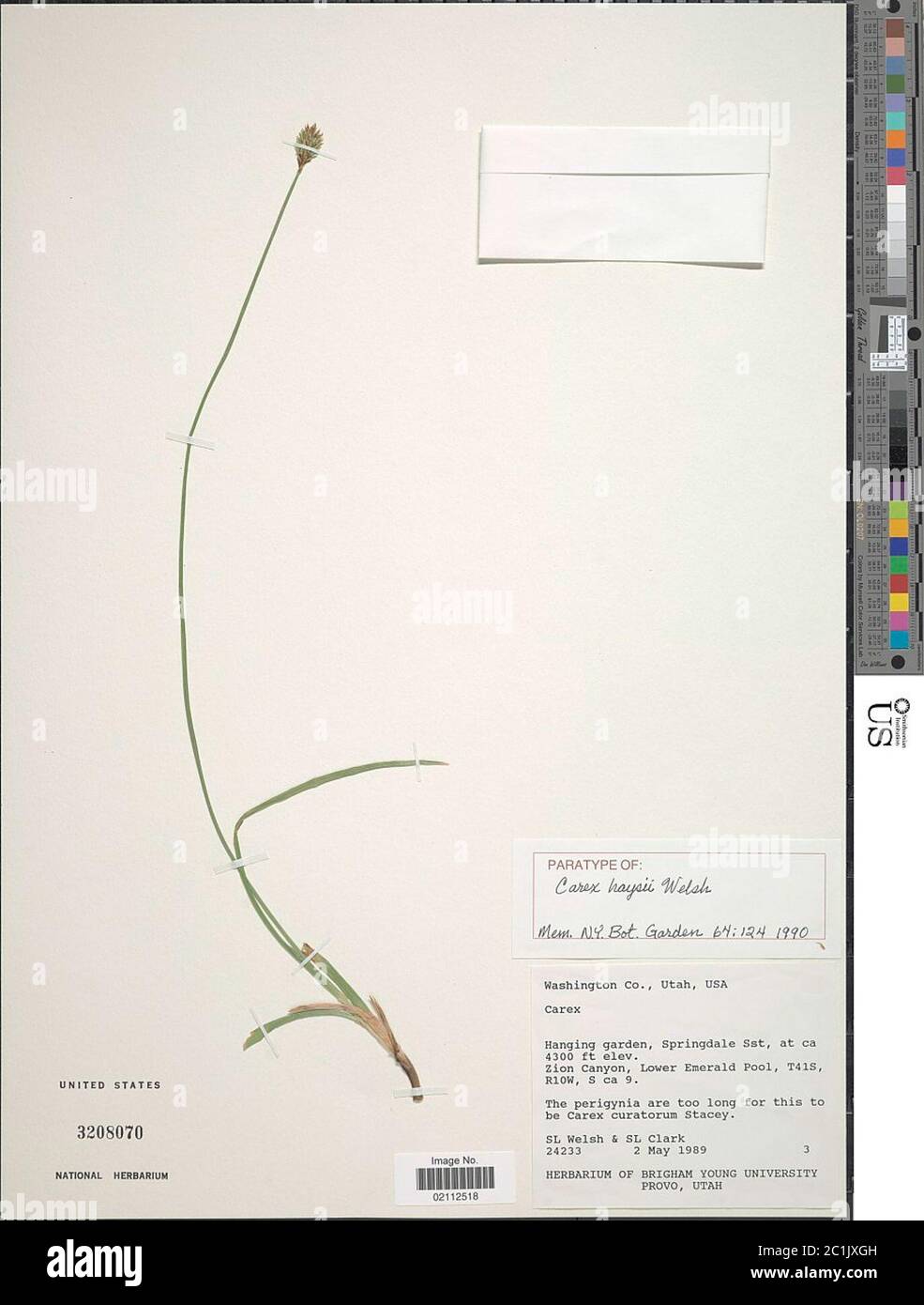 Welsh ecosystems hi-res stock photography and images - Alamy