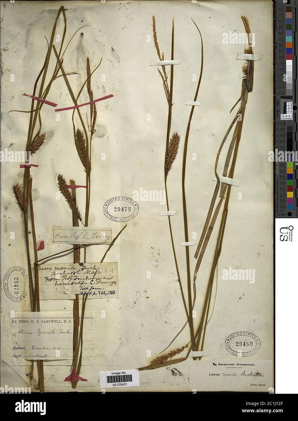 Monile hi-res stock photography and images - Alamy