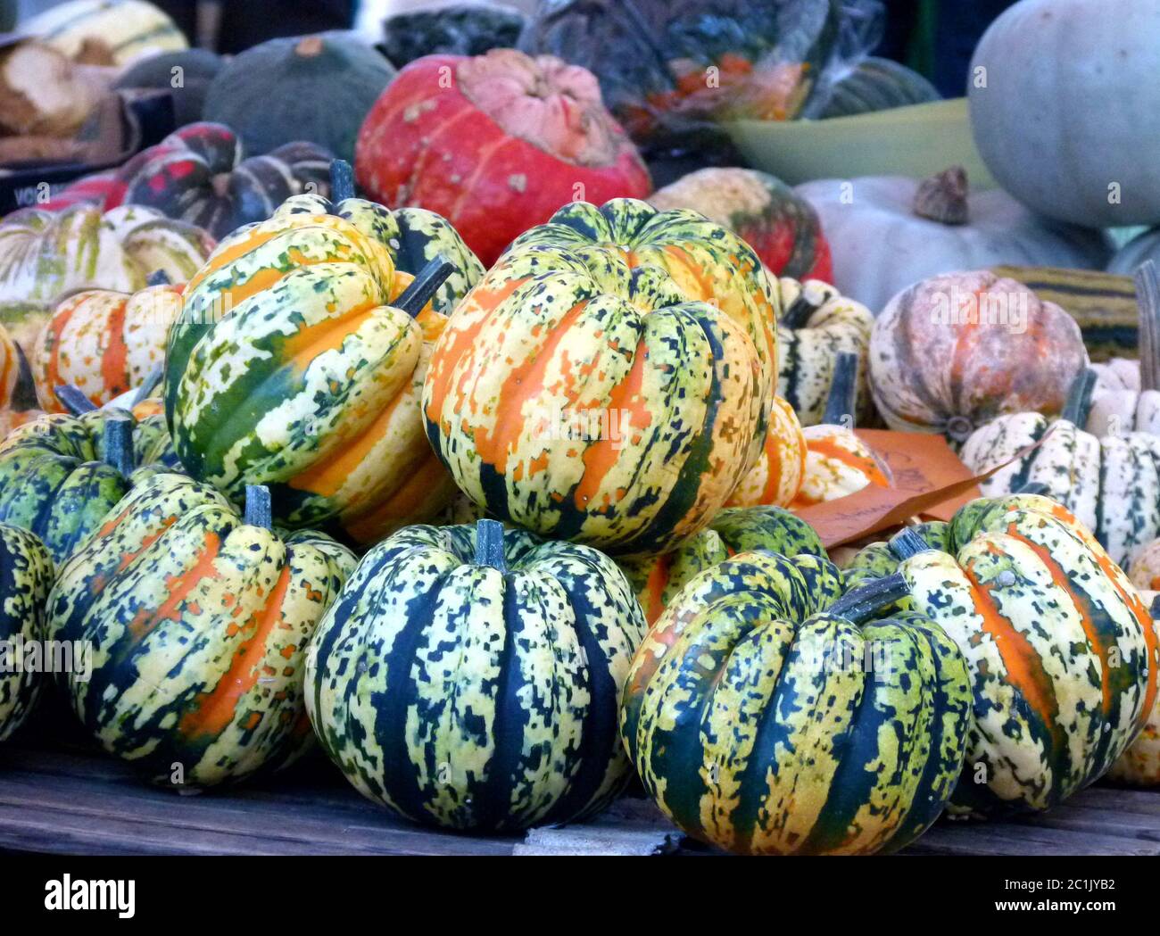 Market stall with gourds in many colors for decoration purposes hi-res ...
