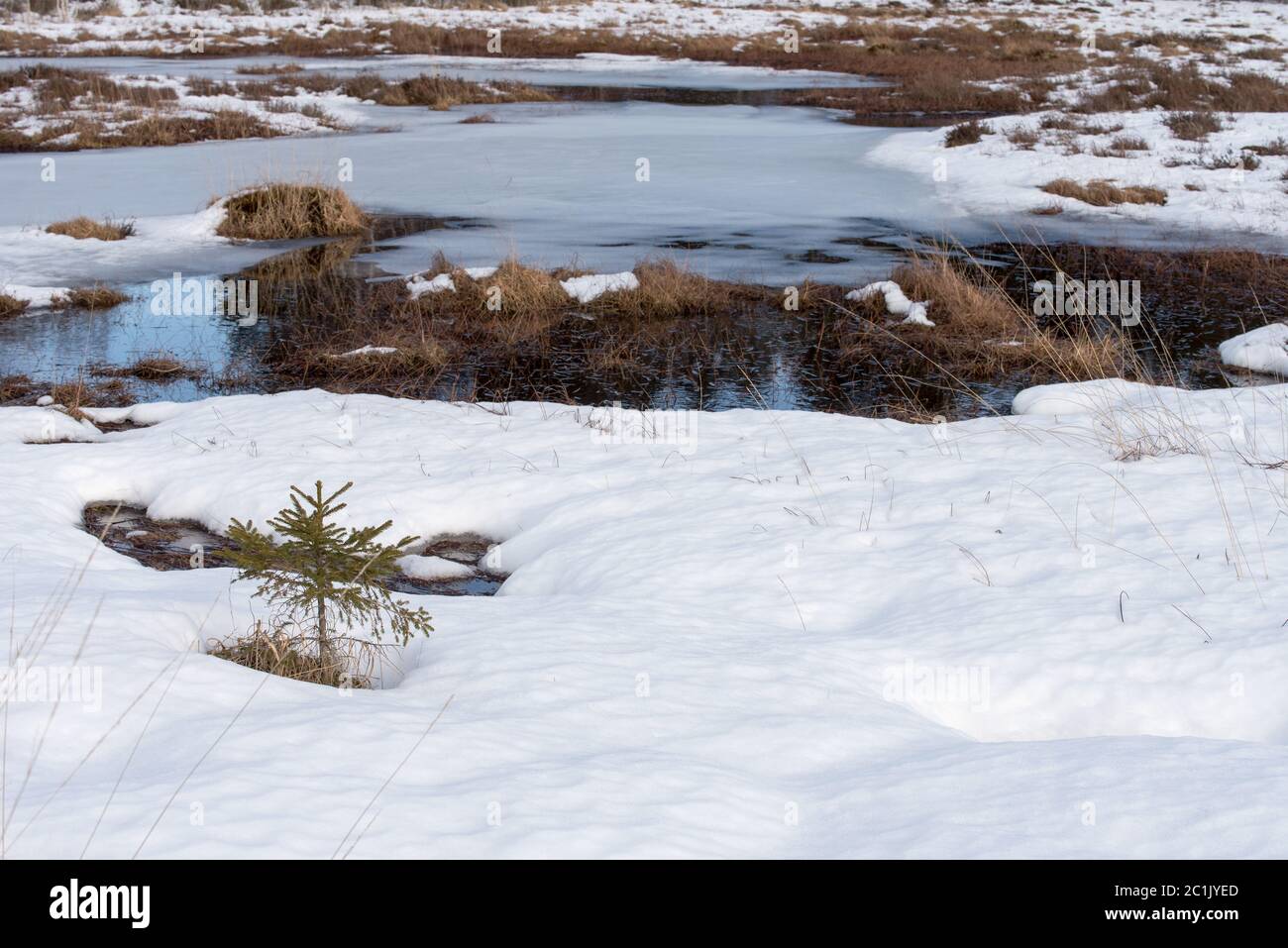 Moorland plateau hi-res stock photography and images - Alamy
