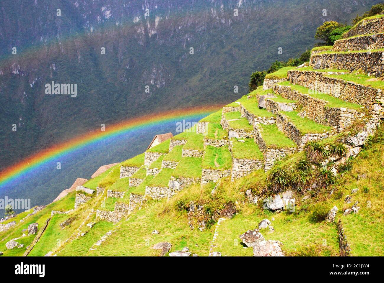 Scenery in Machu Picchu, Peru Stock Photo - Alamy