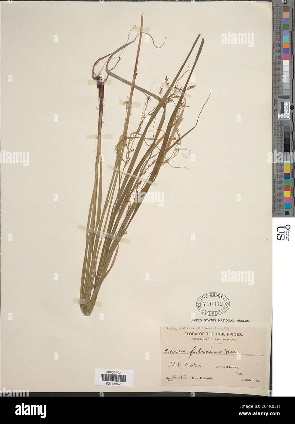 Filicina hi-res stock photography and images - Alamy