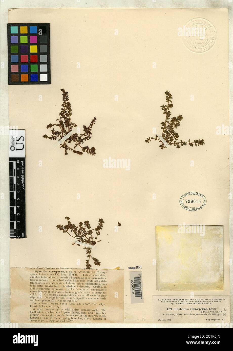 Lotsy hi-res stock photography and images - Alamy