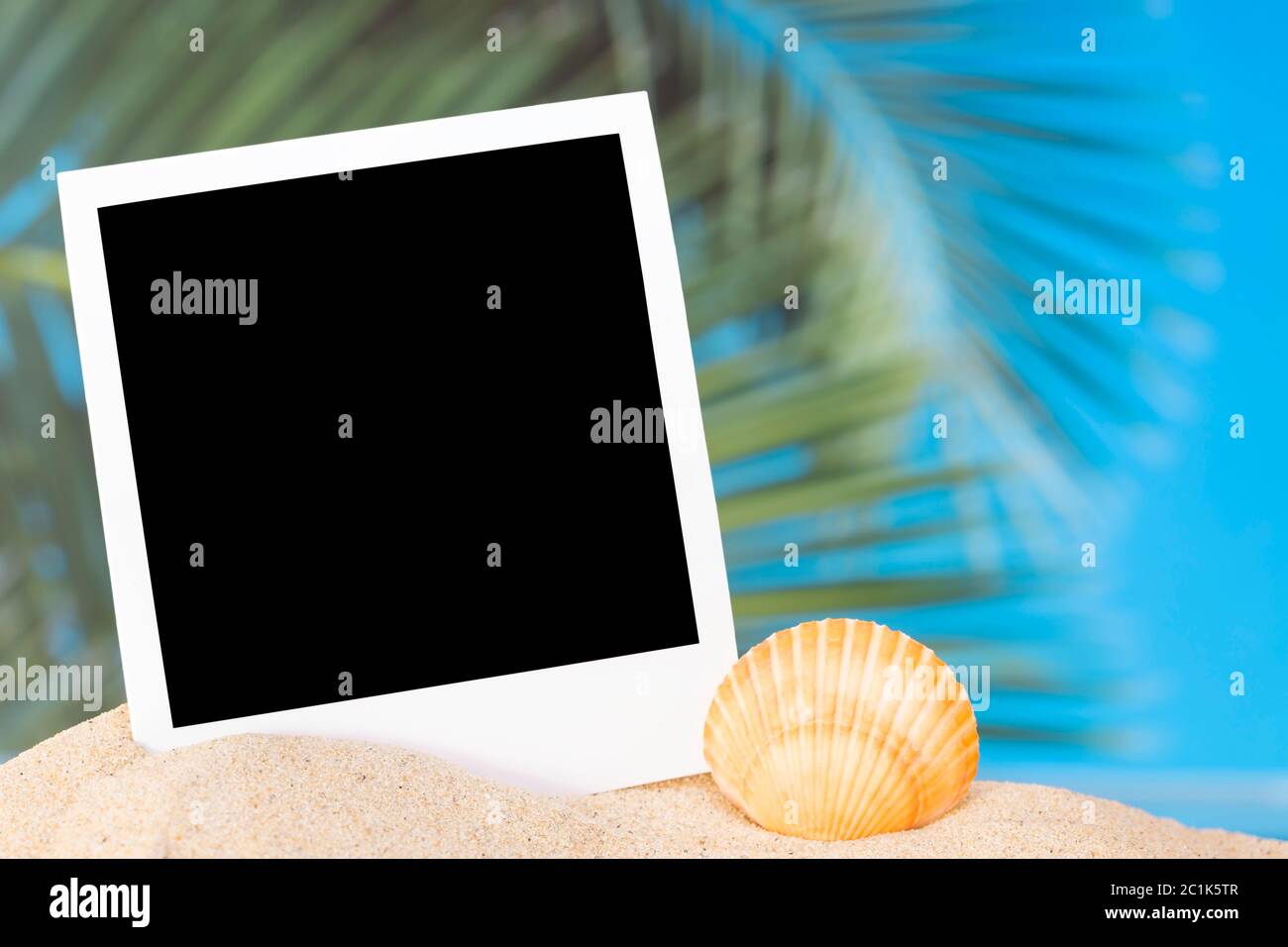 Summer background with a blank vintage photo Stock Photo - Alamy