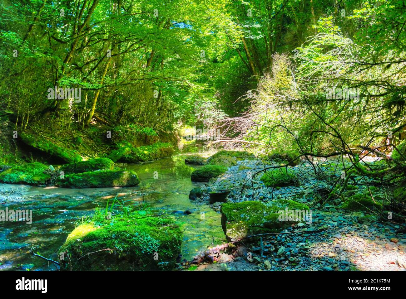 Panorama of Green canyon of Machara river, Abkhazia, Georgia Stock ...