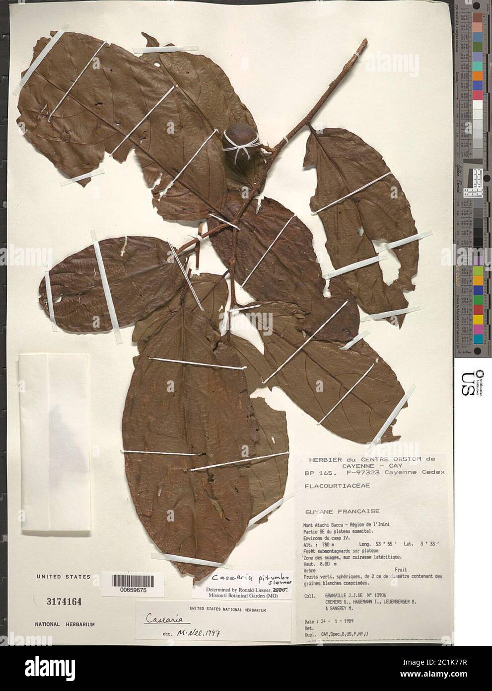 Sleumer hi-res stock photography and images - Alamy