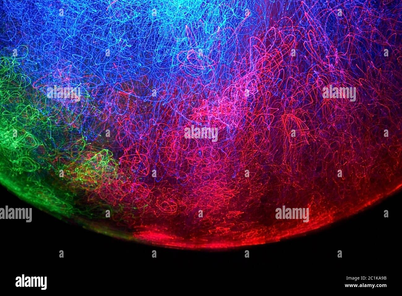 Lightbill hi-res stock photography and images - Alamy