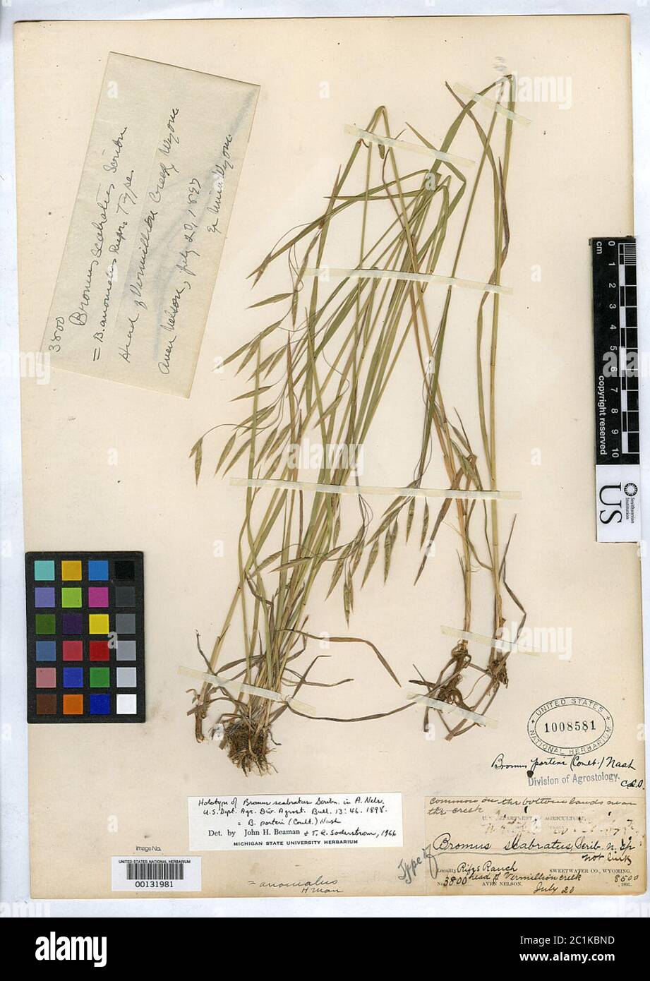 Scribn hi-res stock photography and images - Alamy