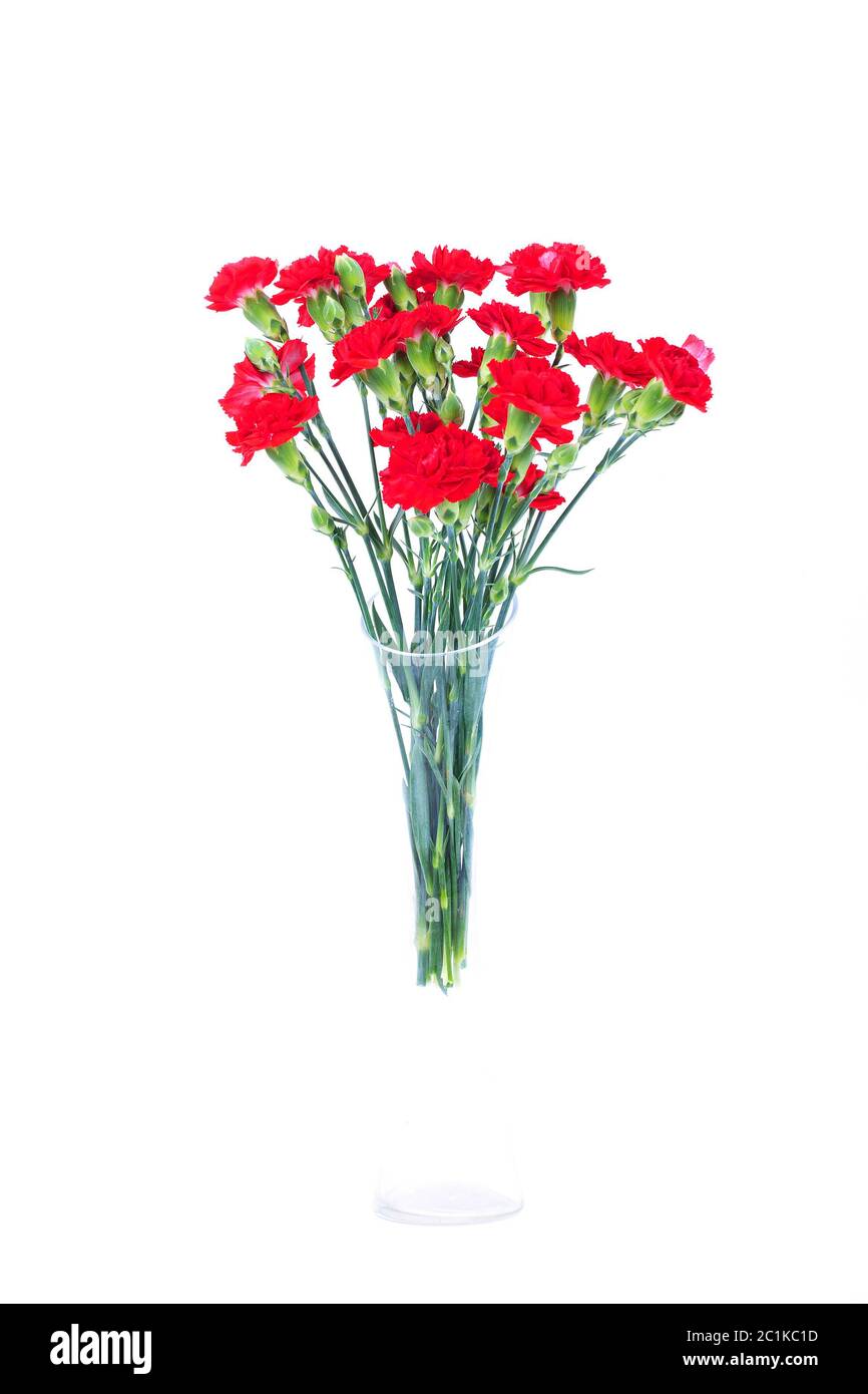 Bouquet carnations white flowers Cut Out Stock Images & Pictures - Alamy