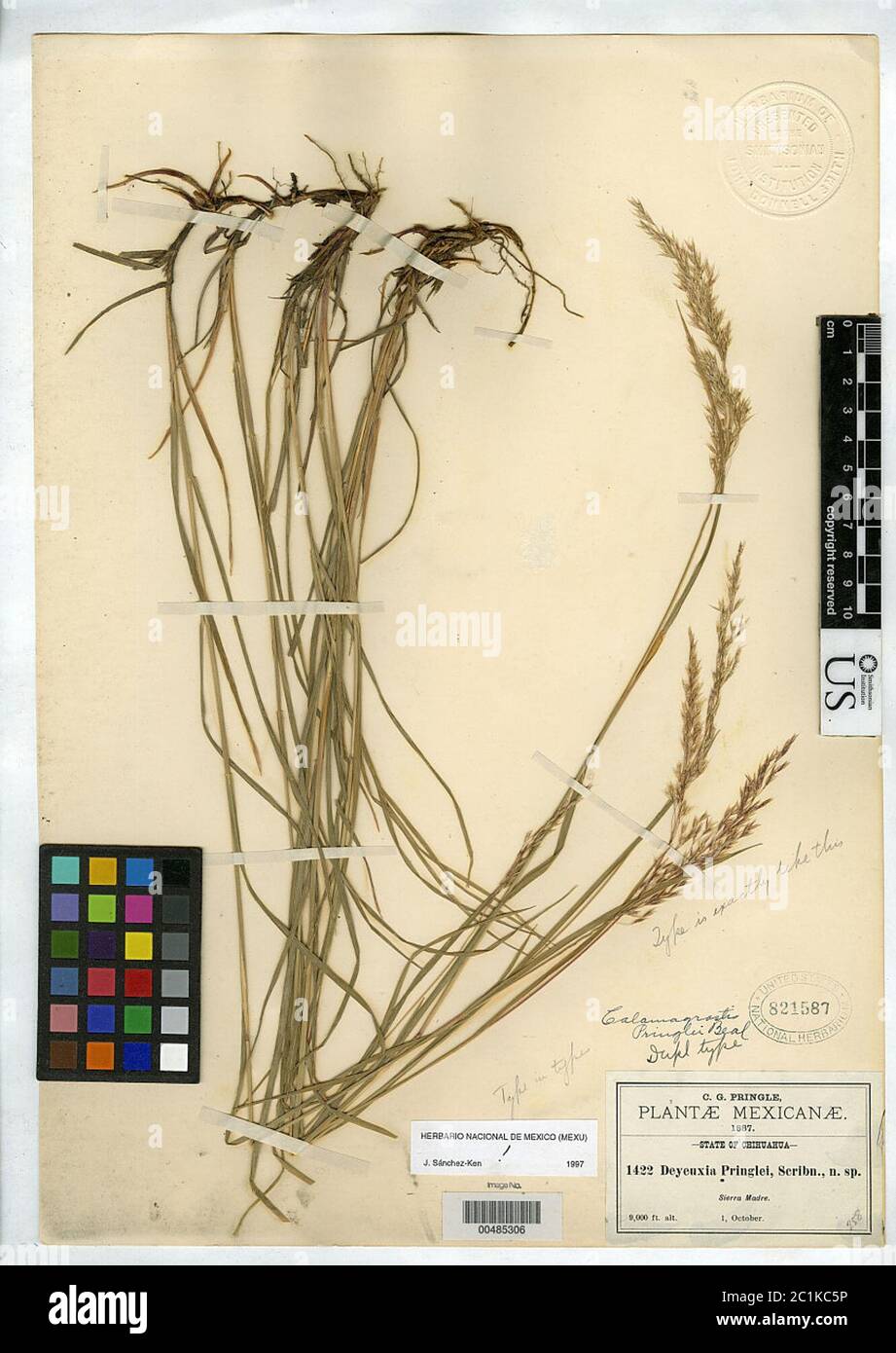 Scribn hi-res stock photography and images - Alamy