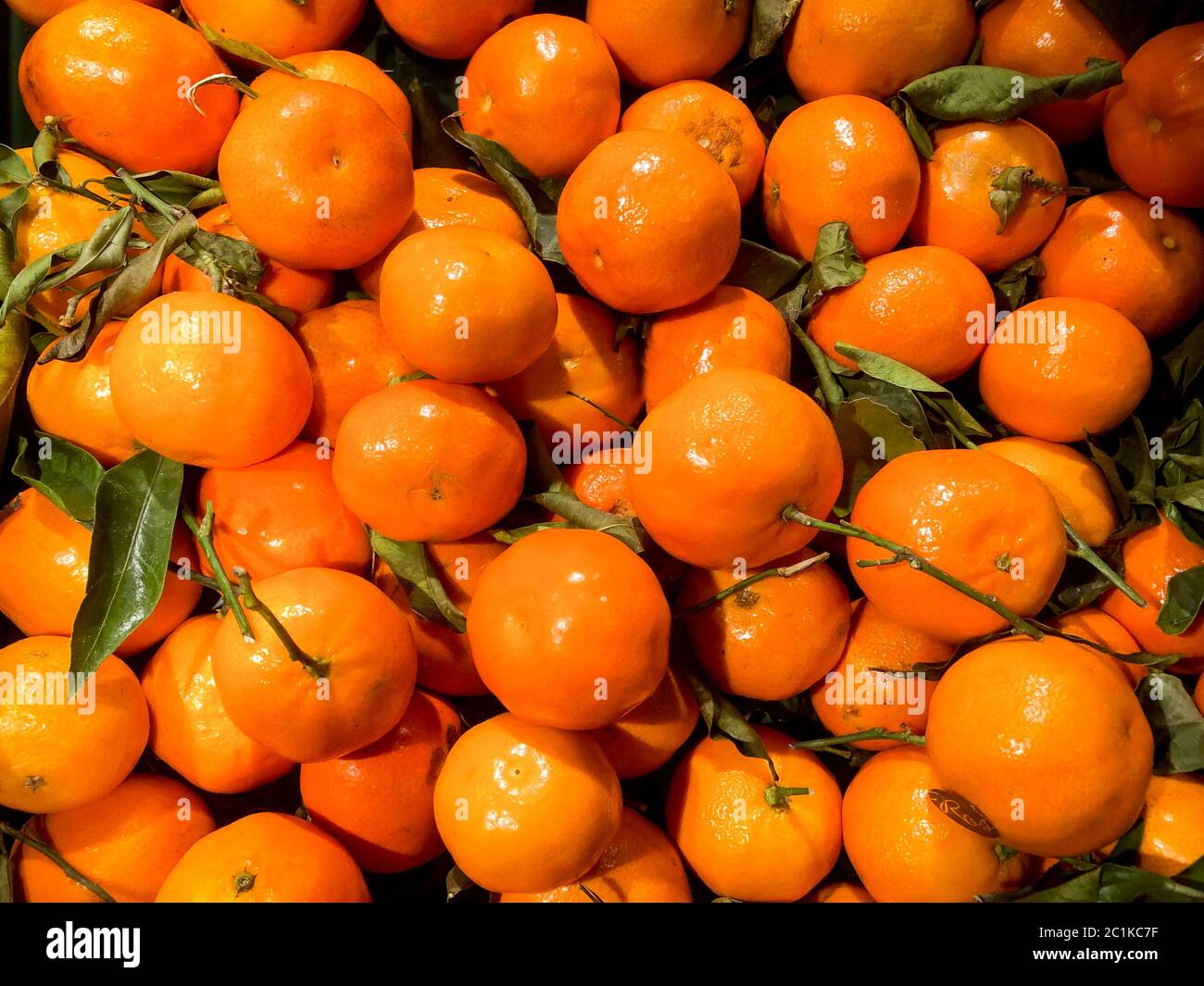 Harvest of tangerines hi-res stock photography and images - Alamy