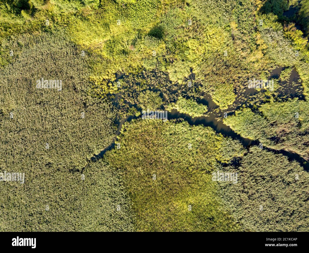 Panoramic view from the drone, aerial photography of landscape with ...