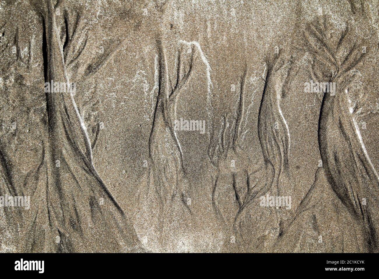 Sand texture drawn by waves Stock Photo - Alamy